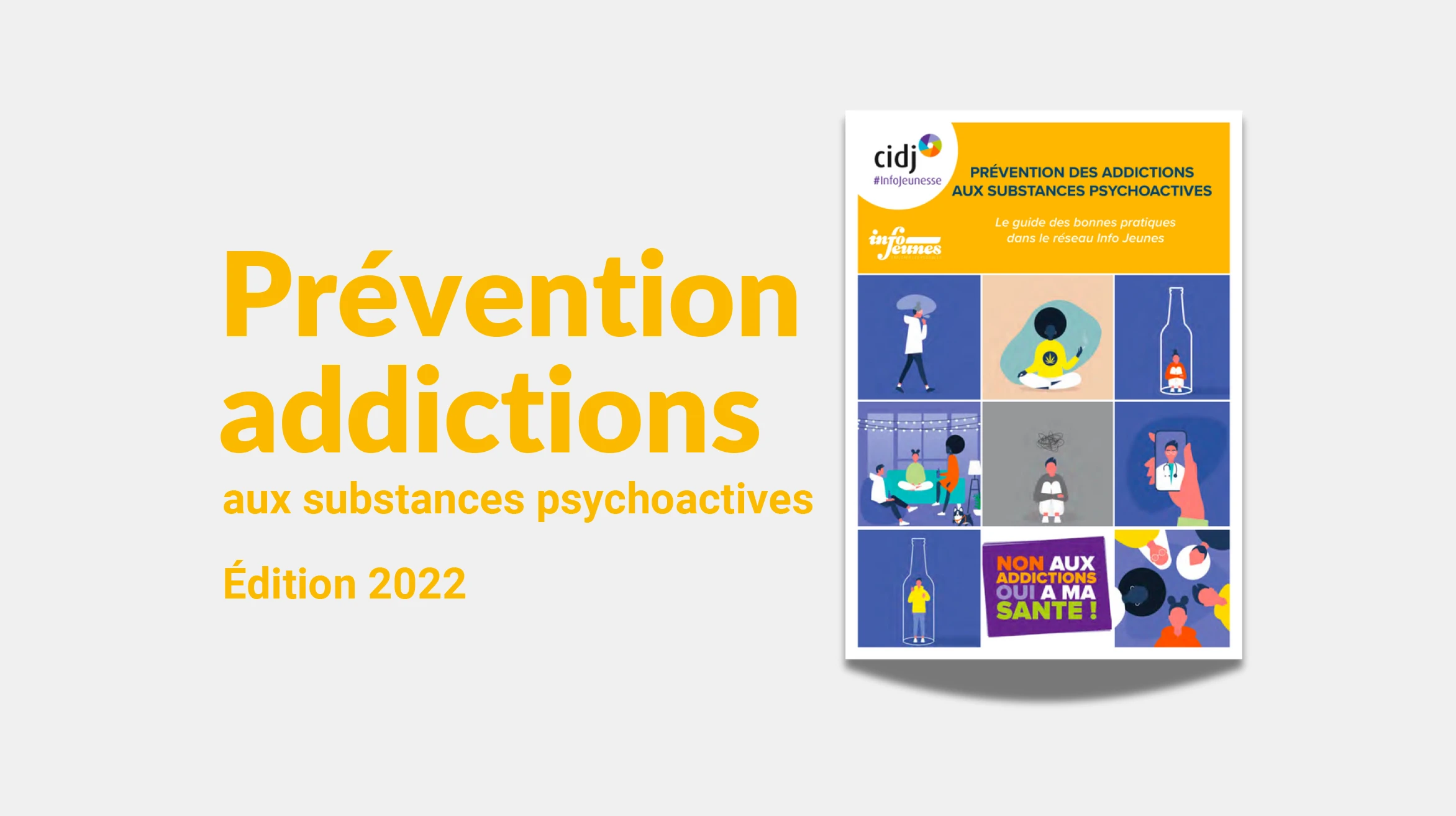 Guide des bonnes pratiques : Prévention des addictions aux substances ...